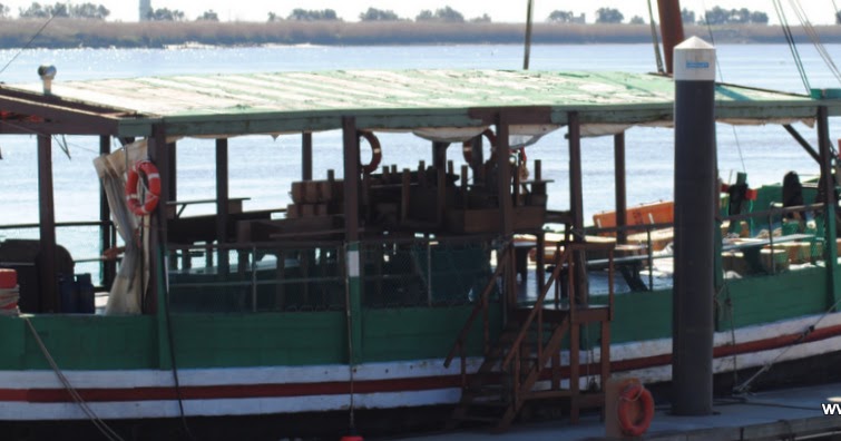Barco Varino Castro Júnior: Passeio pelo rio Tejo