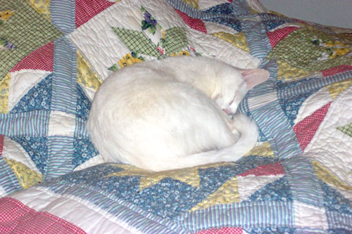 Art With a Touch of Whimsy