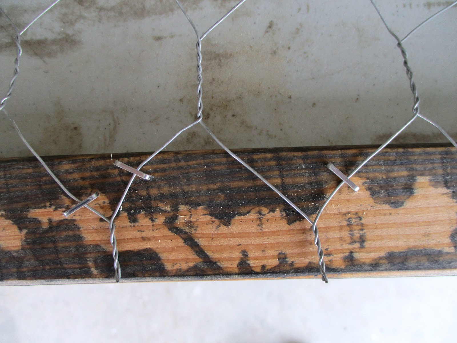 The Cozy Red Cottage: Farmhouse style chicken wire frame