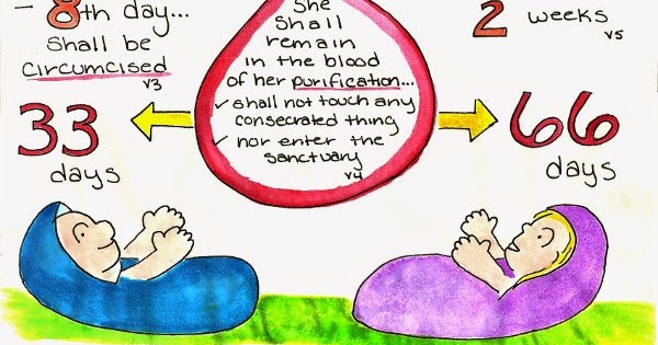 Doodle Through The Bible: Leviticus 12