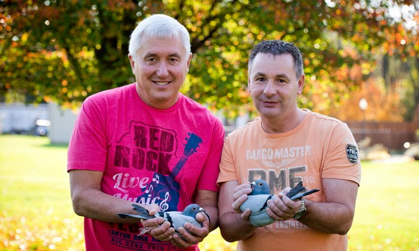 nieripigeons USA racing pigeons: Mike Ganus nos habla sobre la verdad ...