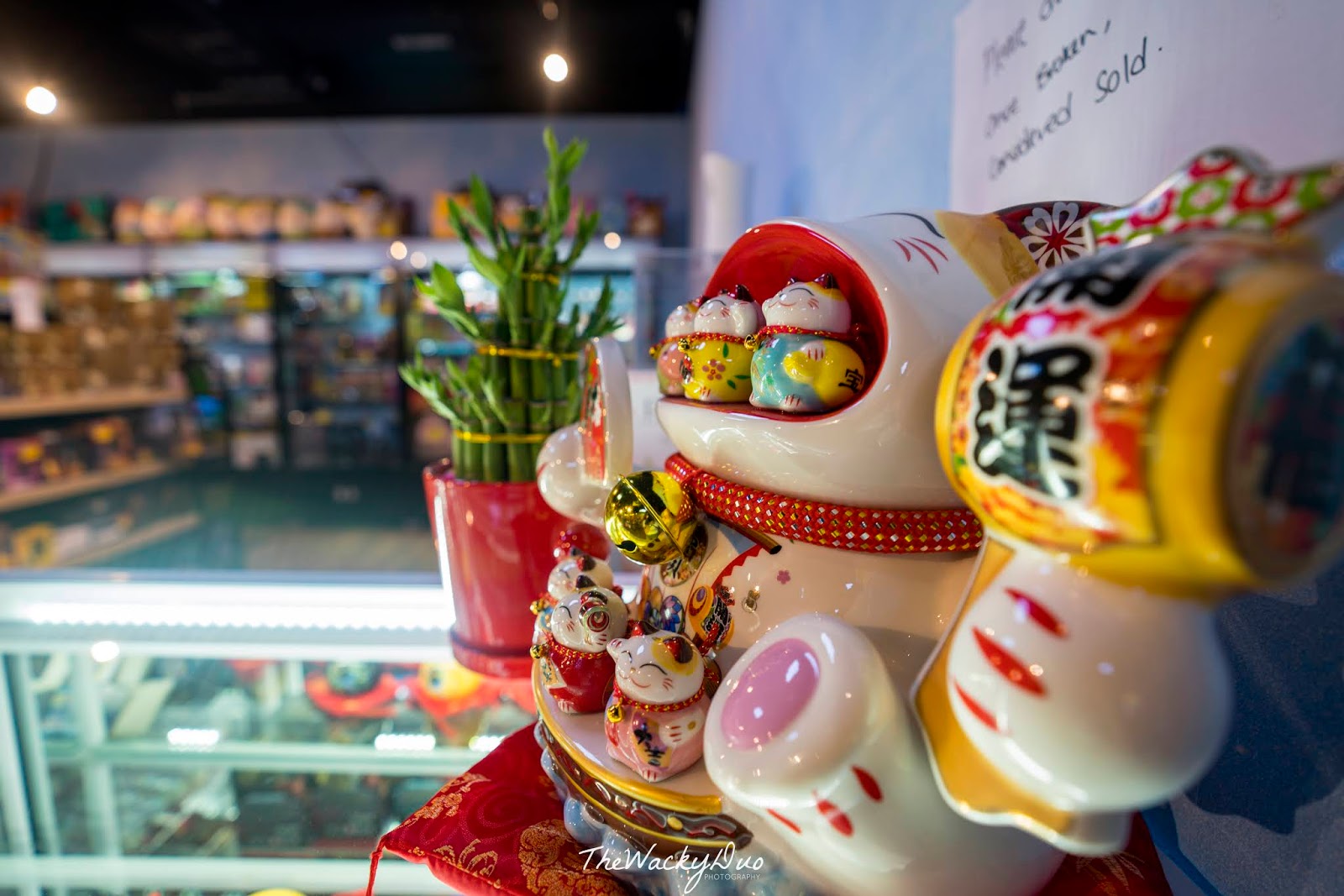 Paco FunWorld : Family Amusement Carnival Review - TheWackyDuo.com ...