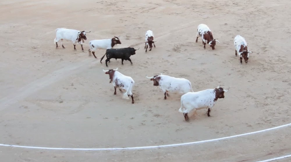 Tarde de toros en La Plaza de Las Ventas