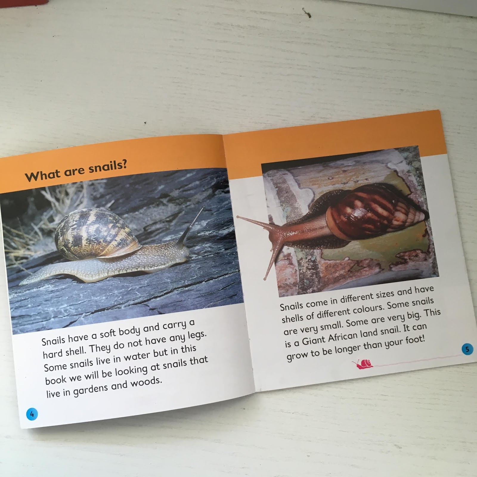 Space On The Bookshelf: Snail Story Sack - Featuring ‘Are you A Snail ...