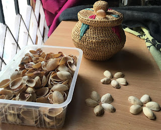 DEW: PROCRASTINATING - PISTA SHELL ARTWORK