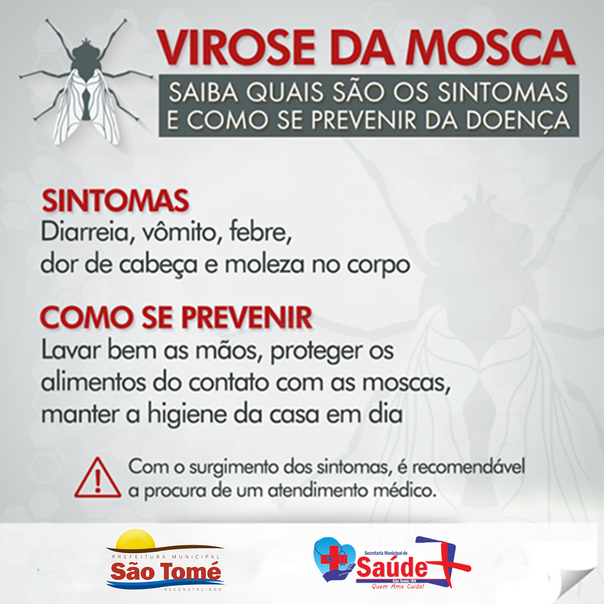 PREFEITURA MUNICIPAL DE SÃO TOMÉ: VIROSE DA MOSCA - PREVINA-SE