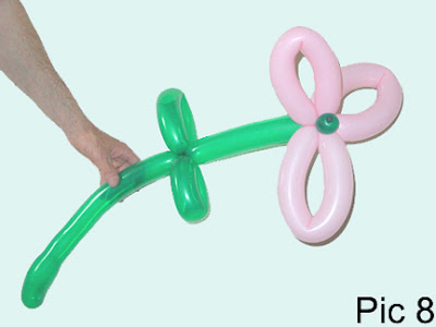 CLASSICAL: Balloon flower stem