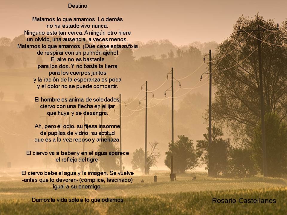 LEER DESPIERTA TU IMAGINACIÓN