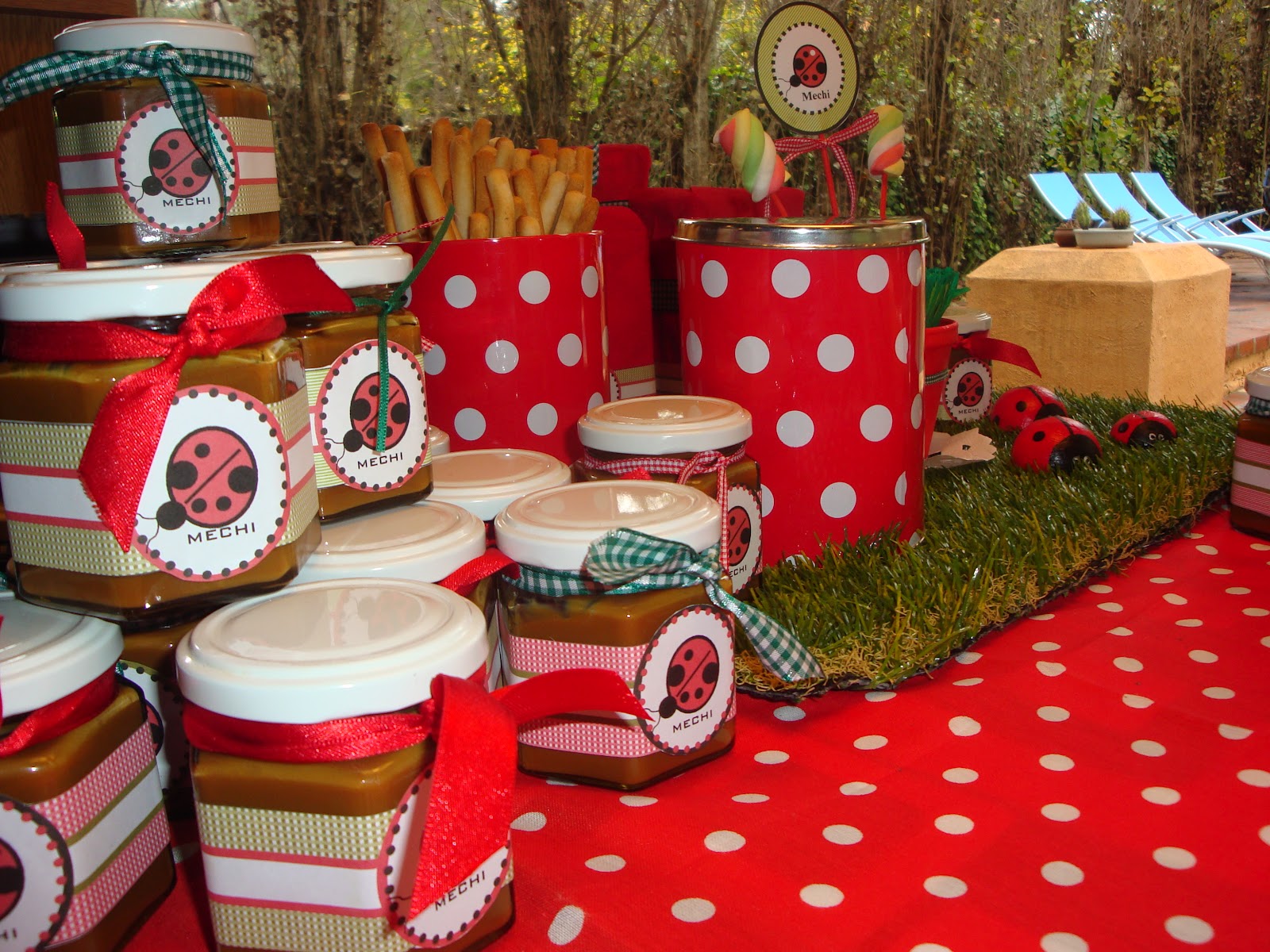 ideas tematicas: Cumple de Ladybug