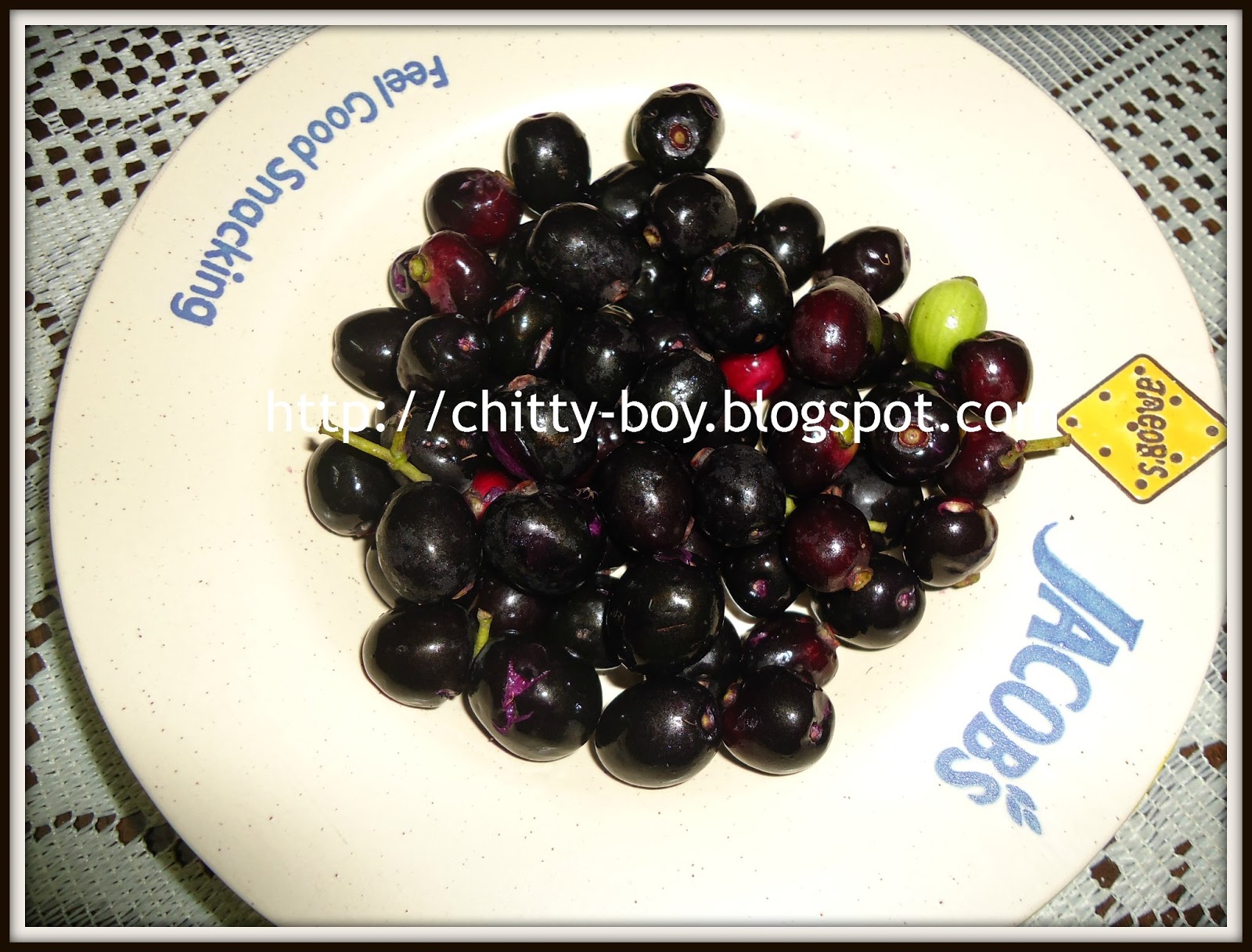 Chitty Boy and Me: Jambul Fruit aka Buah Kerian aka Naaval Pazham