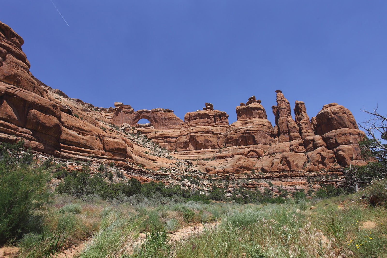 FISH CREEK CANYON-OWL CREEK CANYON LOOP TRAIL, CEDAR MESA, UTAH - ADAM ...