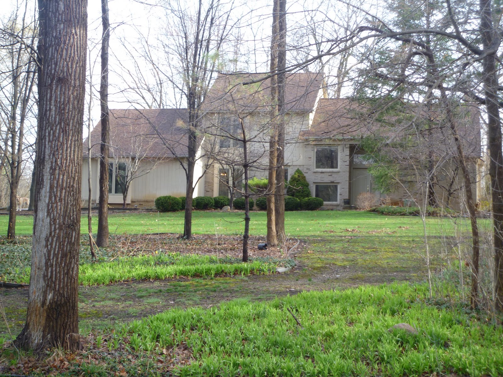 Homes for Sale in Farmington Hills MI Blog: Subdivision: West Franklin ...