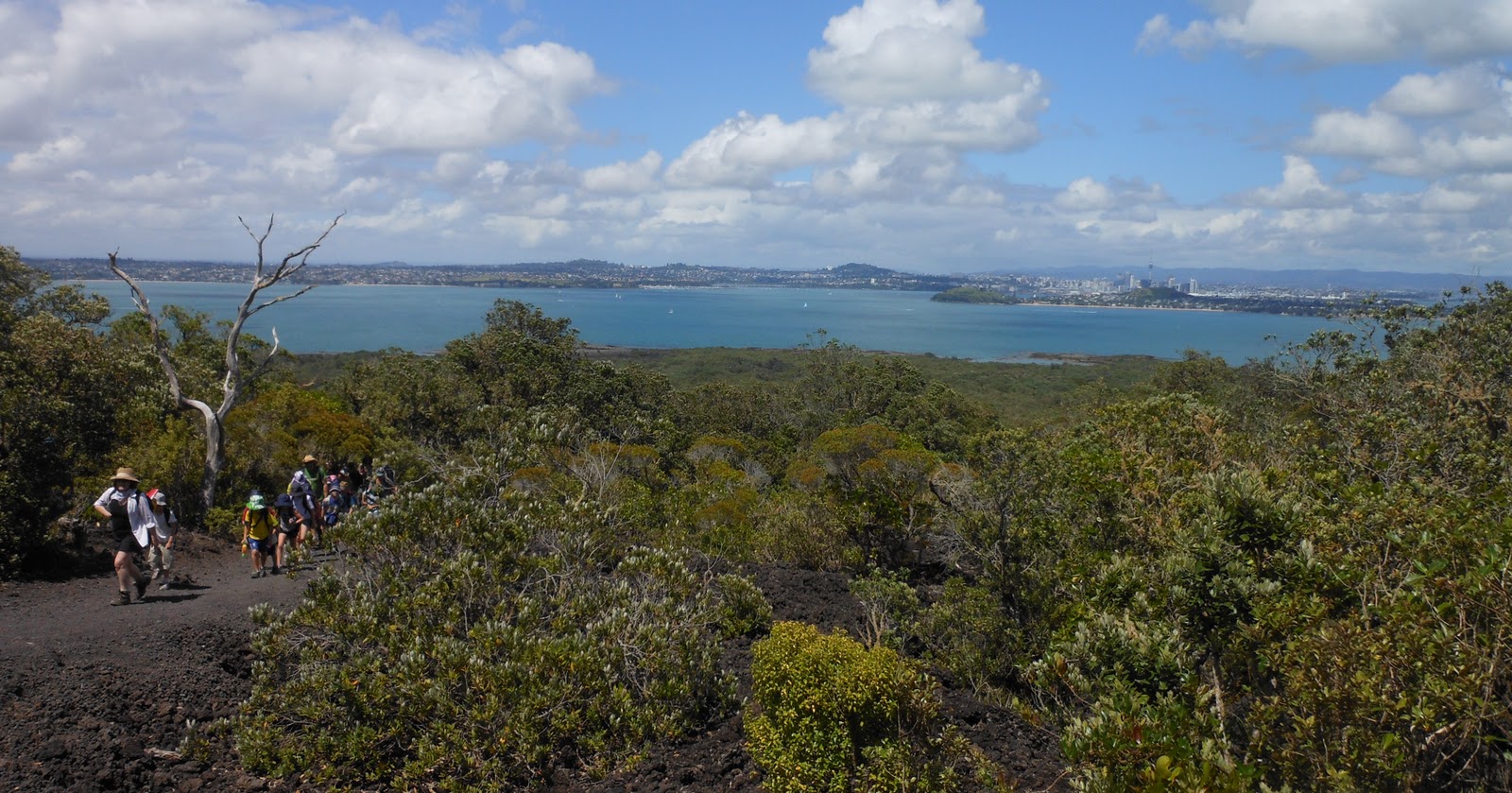 1000 Hikes in 1000 Days: Day 389: Rangitoto Island