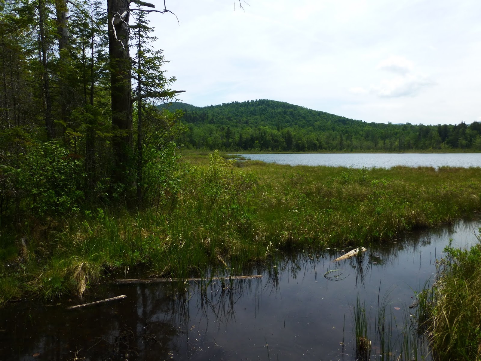 Off on Adventure: Cherry Ridge and Wolf Pond Mountain - Wilcox Lake ...