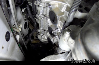 SUPERCIRCUIT Exhaust Pro Shop: Toyota Mark X Quad Exhaust Custom