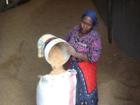 KWIGAYA & MWASI ENTERPRISES: PUMBA ZA MPUNGA