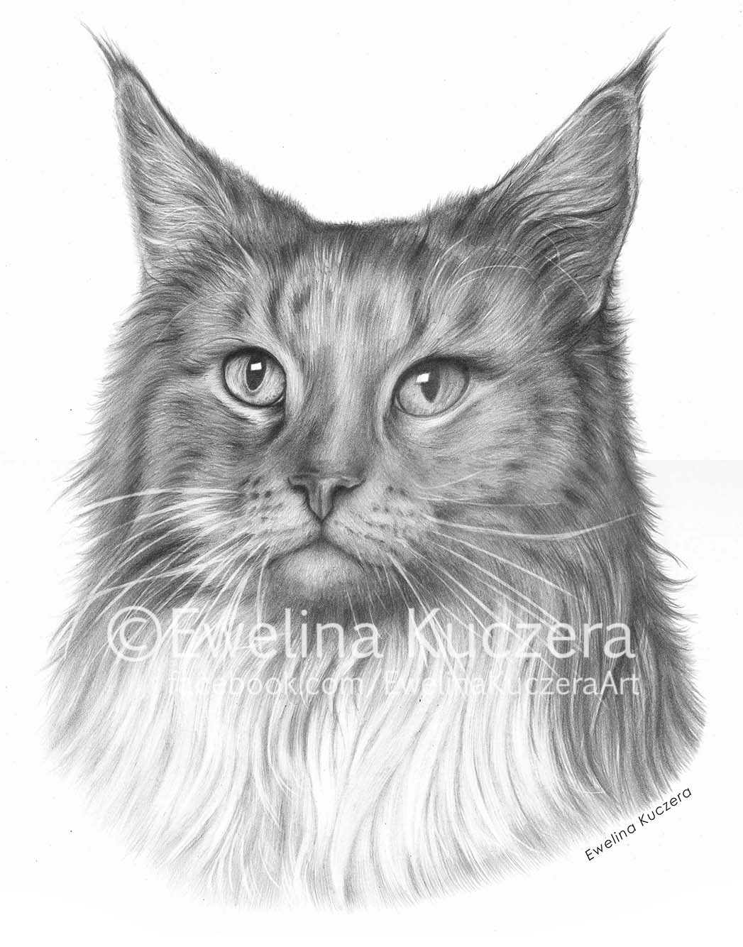 Artistic Blog - learn how to draw with colored pencils: 2019