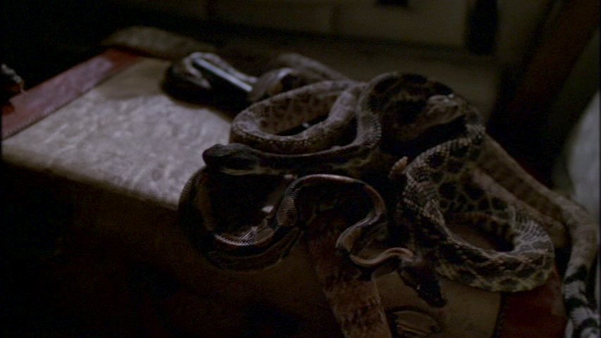 Doc Oho Reviews...: The X-Files Season Seven