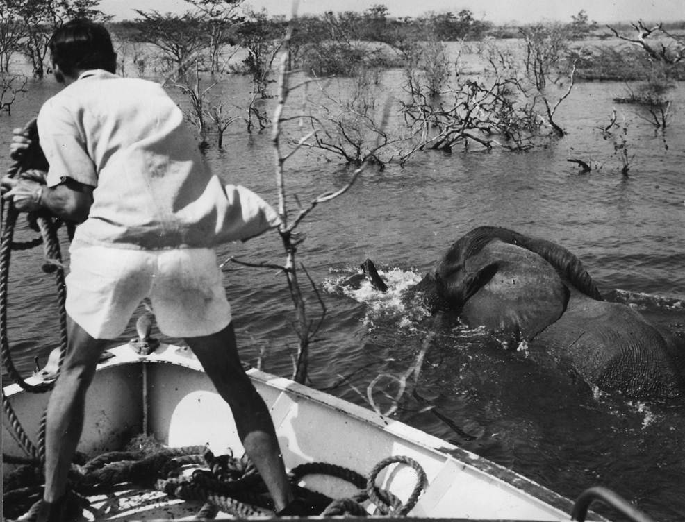 Operation Noah [1998 TV Movie] - bowlpiratebay