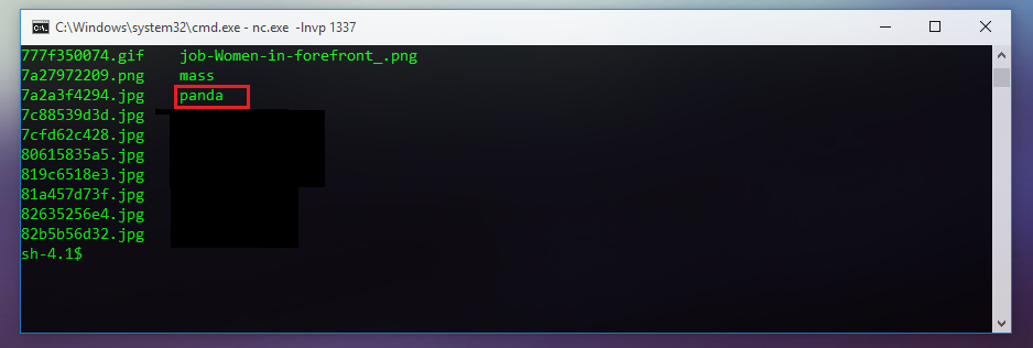 Server Rooting with Ngrok 2017