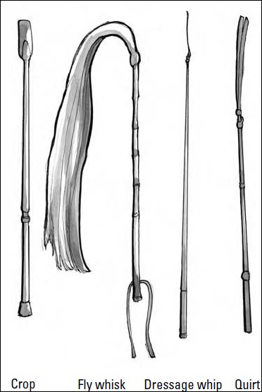 Equipping Yourself with Other Important Gear ~ We love pets