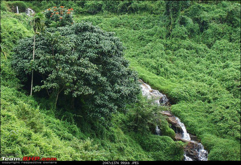 TOURISM DESTINATION IN THIRUVANANTHAPURAM: Bonacaud hill ...