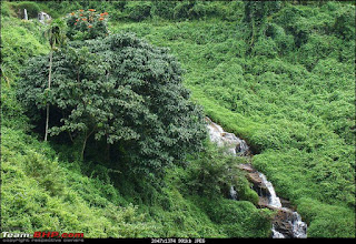 TOURISM DESTINATION IN THIRUVANANTHAPURAM: Bonacaud hill ...