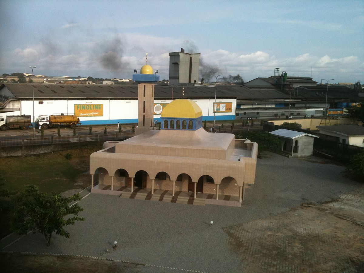 A History of Cameroon