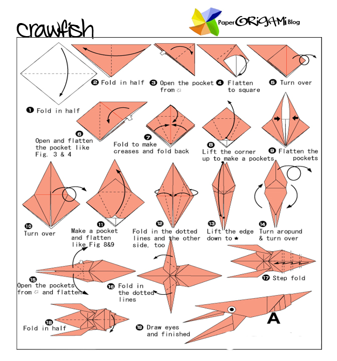 Crawfish Origami | Paper Origami Guide