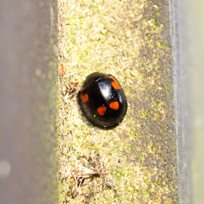 BugBlog: February 2012