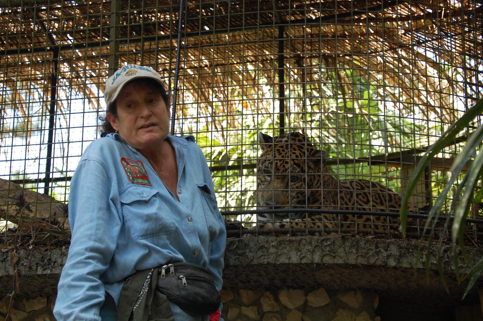 Belize 2013: The Belize Zoo
