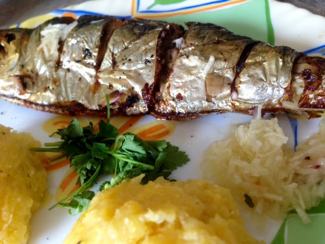 Chef De Cuisine Puiu-Oana-Mihaela: Scrumbie de Dunare la gratar