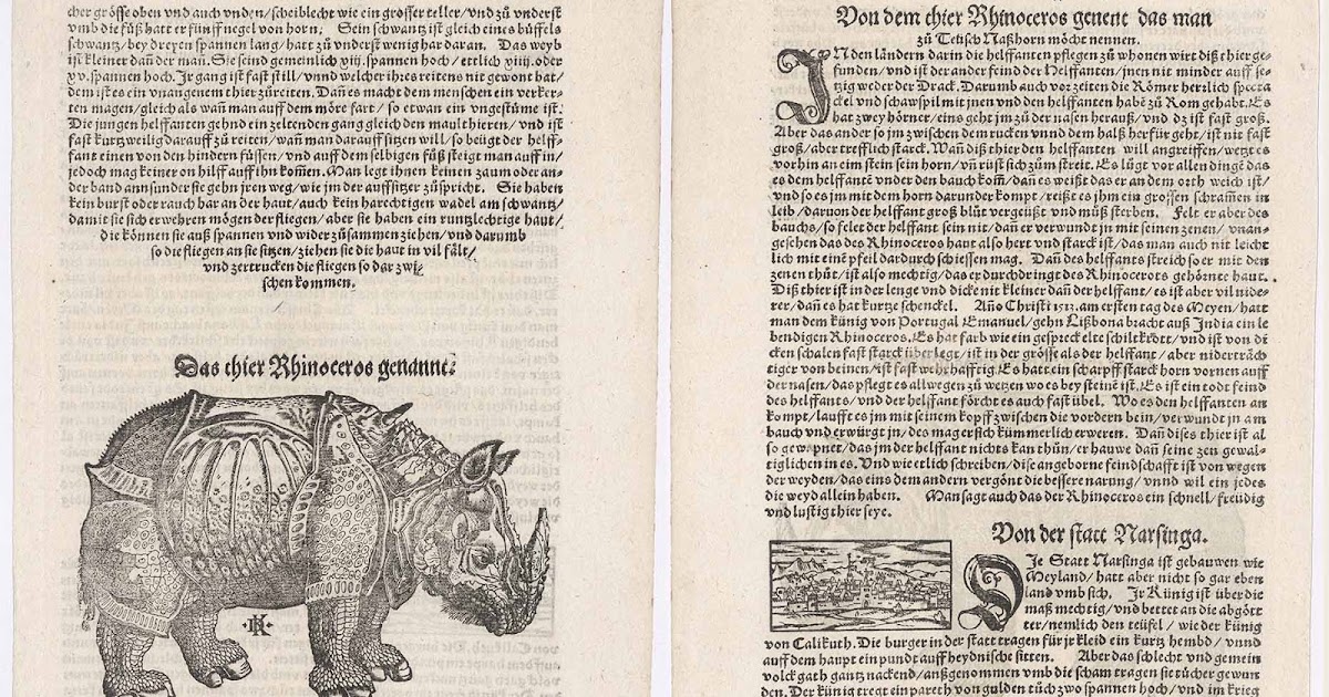 Prints and Principles: David Kandel’s woodcut, “Rhinoceros”, 1550 ...