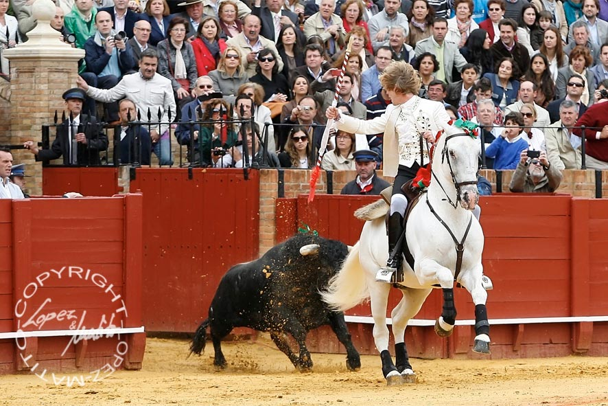 El Paseillo: Galeria de Rejones