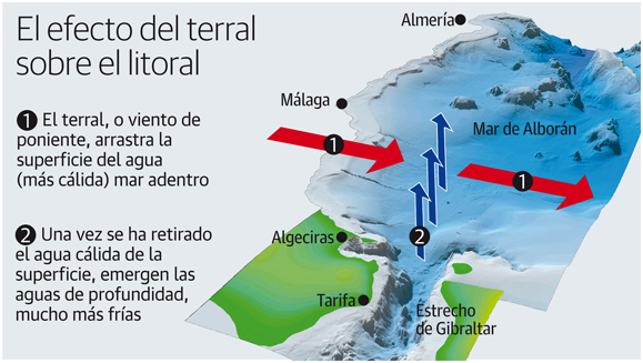 Vida Marítima desde Marbella: ¿Por qué está tan fría el agua del mar en ...
