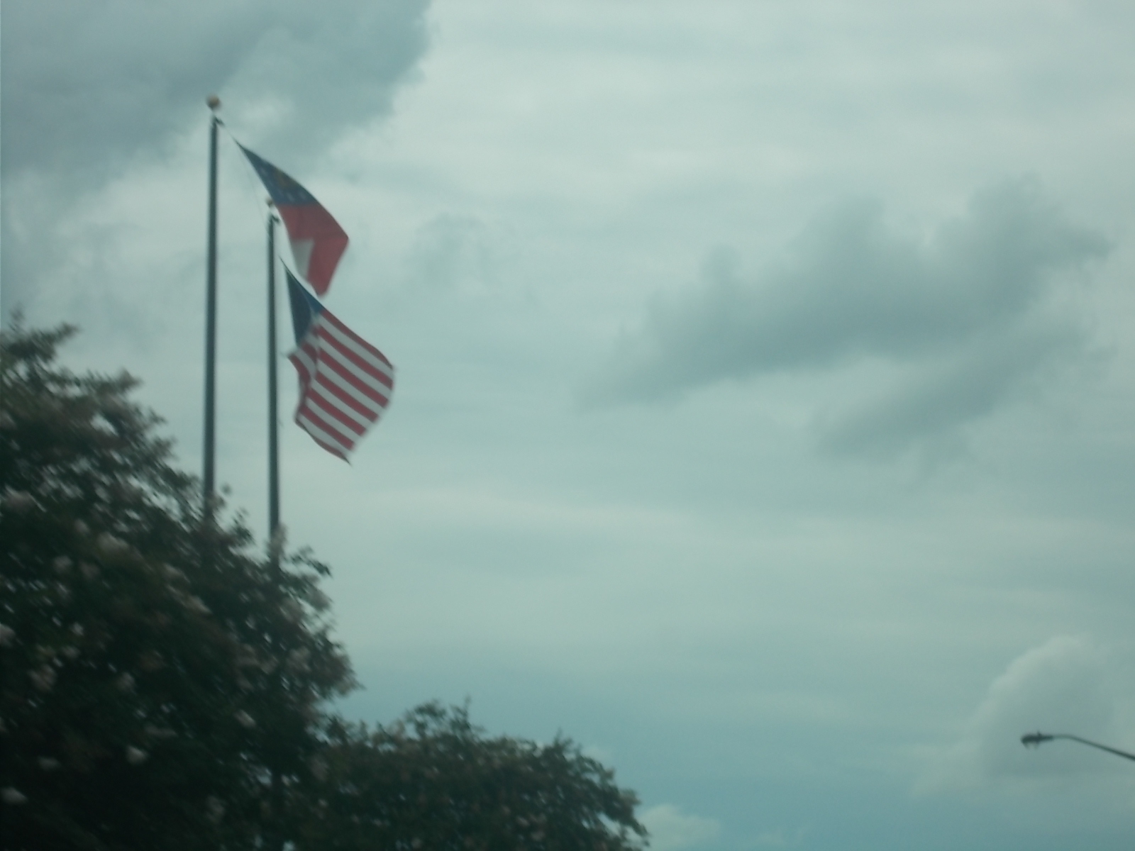 Journey Through Georgia: Below the Gnat Line