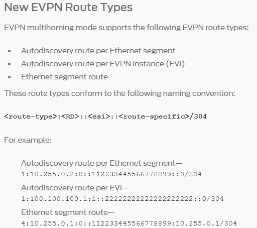 the peering xchange : [a network engineer’s blog]: MPLS L2VPN (EVPN on ...