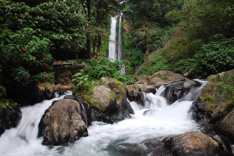 Gitgit Waterfall | Cultures of Denpasar | Learn and recognize about ...