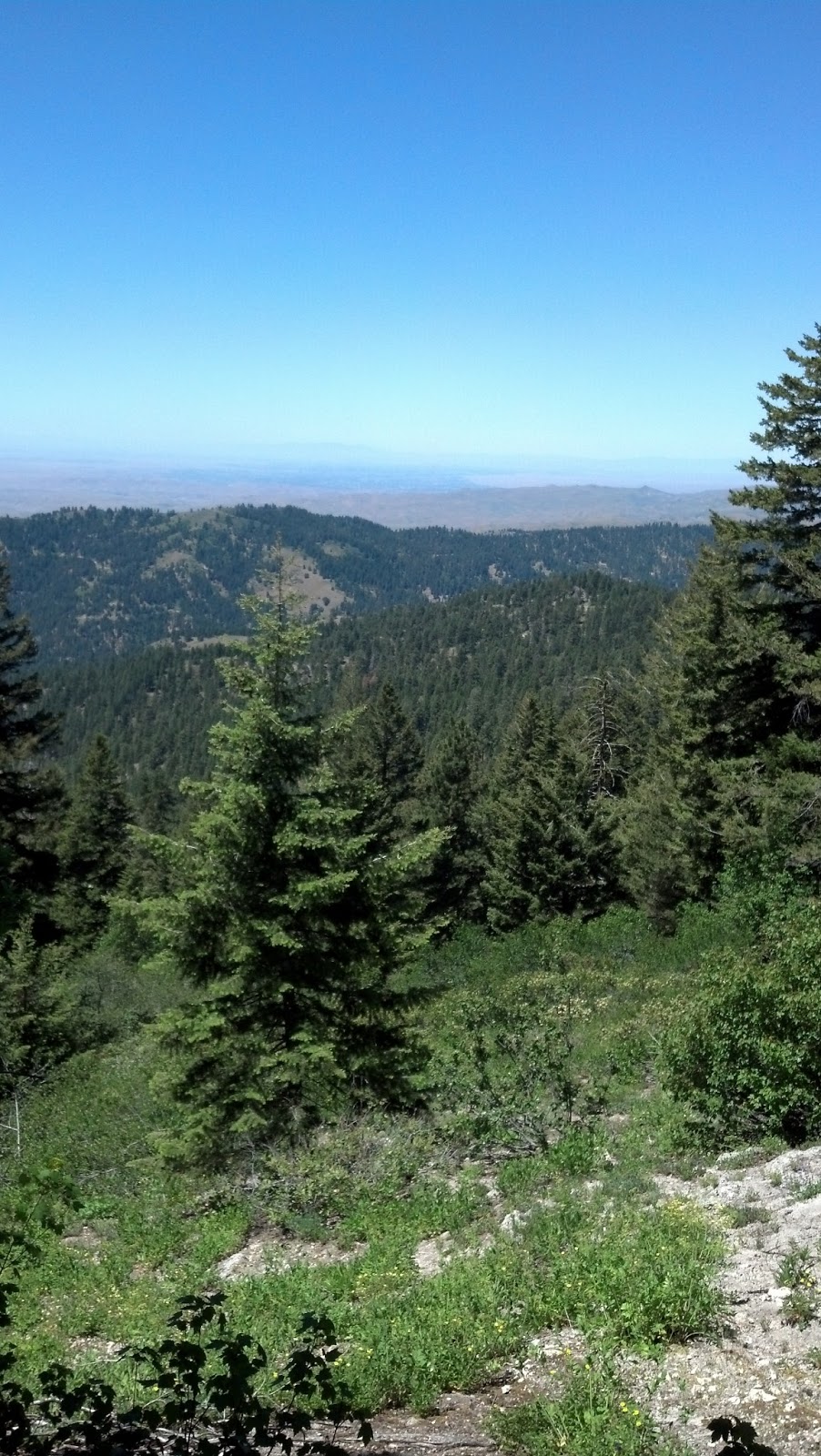 60 Hikes at 60: Hike # 13: Bogus Basin, Deer Point Trail