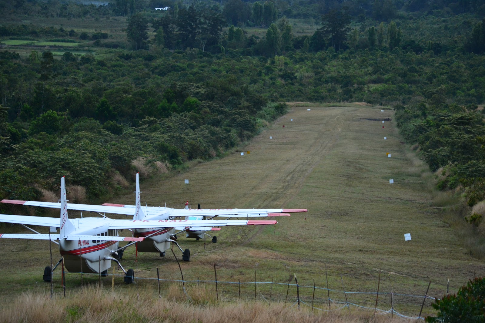 Borneo Mama: Family Conference, Part One