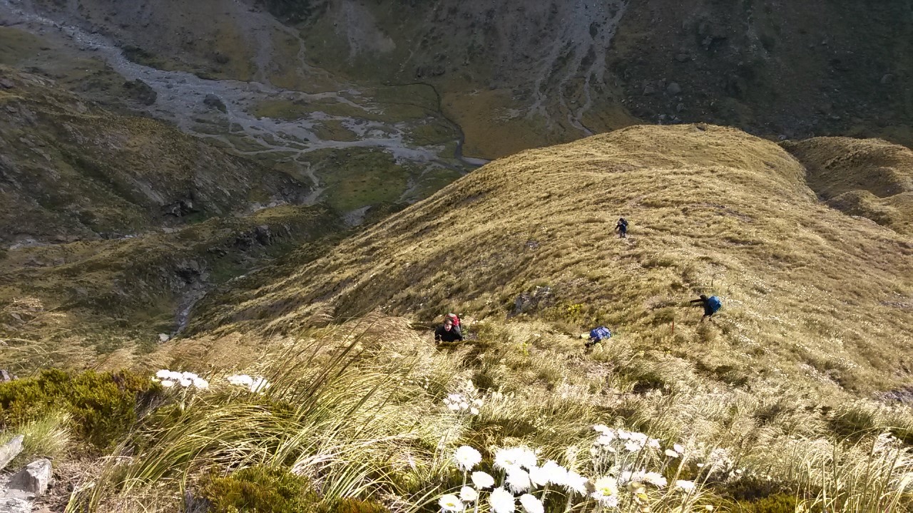 Biking and tramping trip blogs: Aspiring - Rabbit Pass