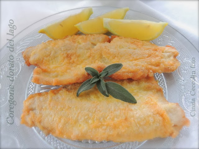 Coregone dorato del lago