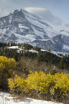 Nick Fucci Outdoor & Nature Photography