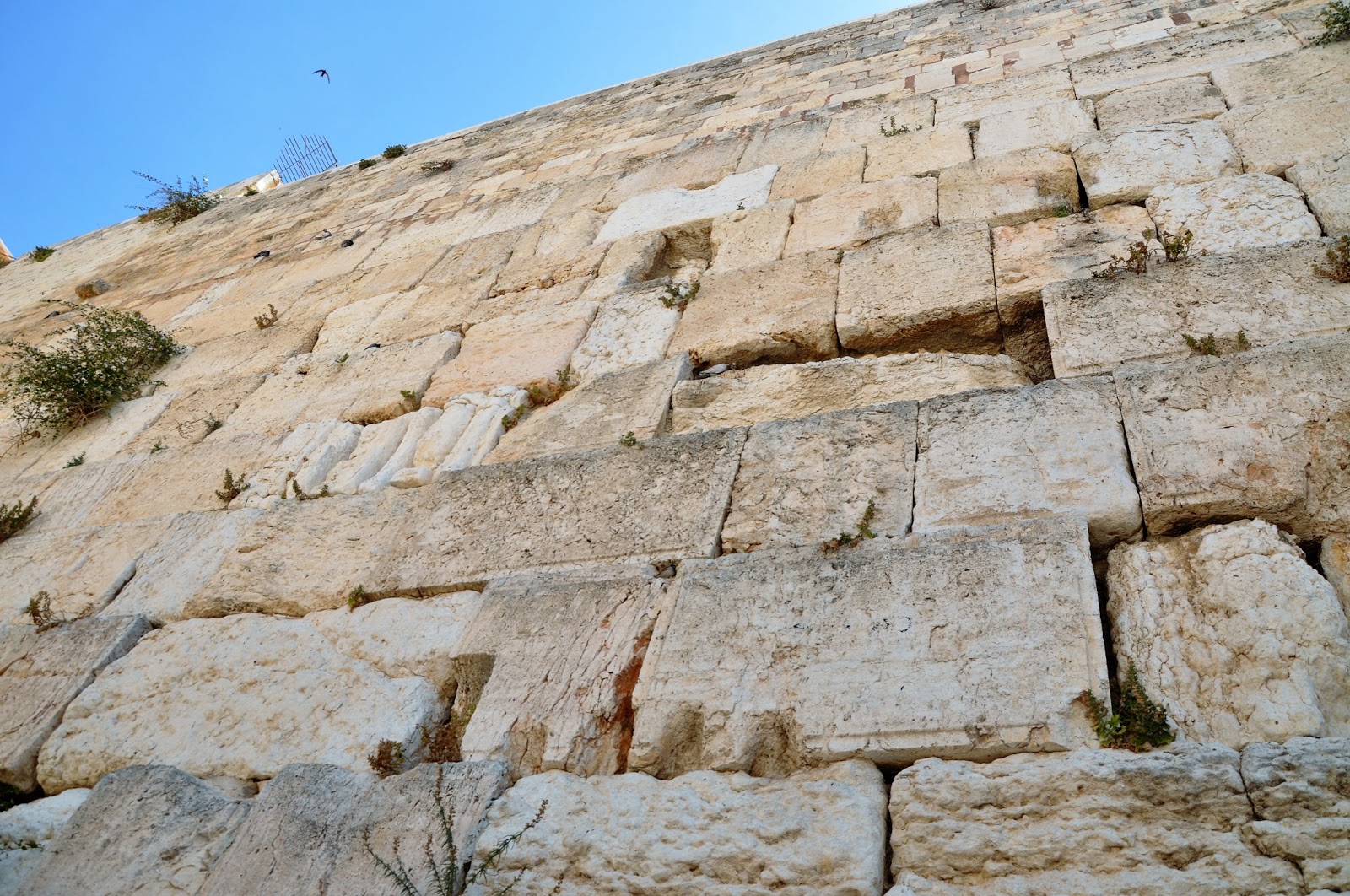 Orbis Catholicus Secundus: Solomon's Temple in Jerusalem