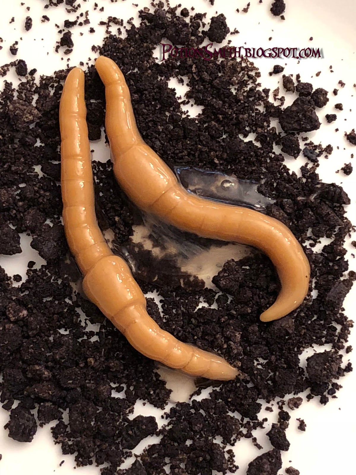POTIONSMITH: Edible Slimy Worms: Part 2
