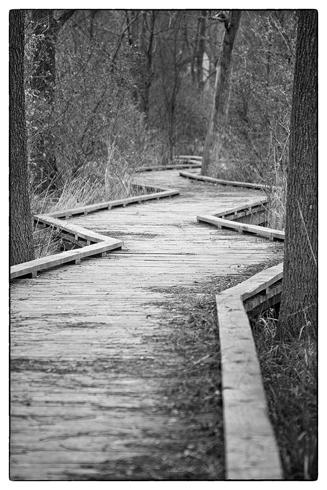 seldom seen: Zig Zag Path