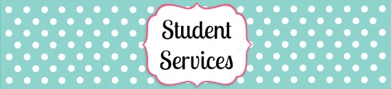 Everything Education