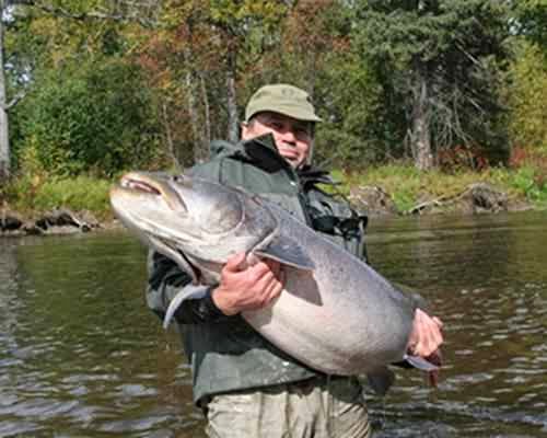 RIVER MONSTERS: Taimen