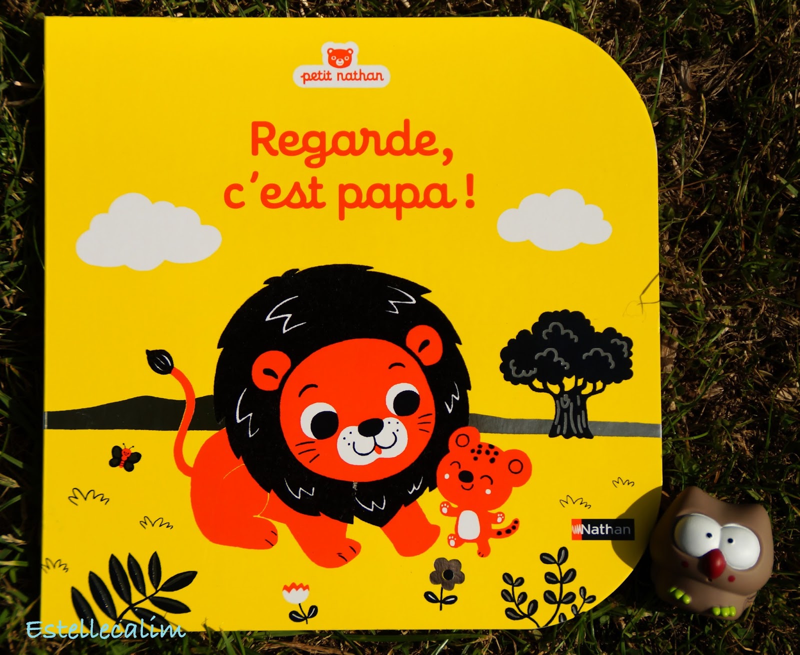 Lire, relire, ne pas lire...: août 2015