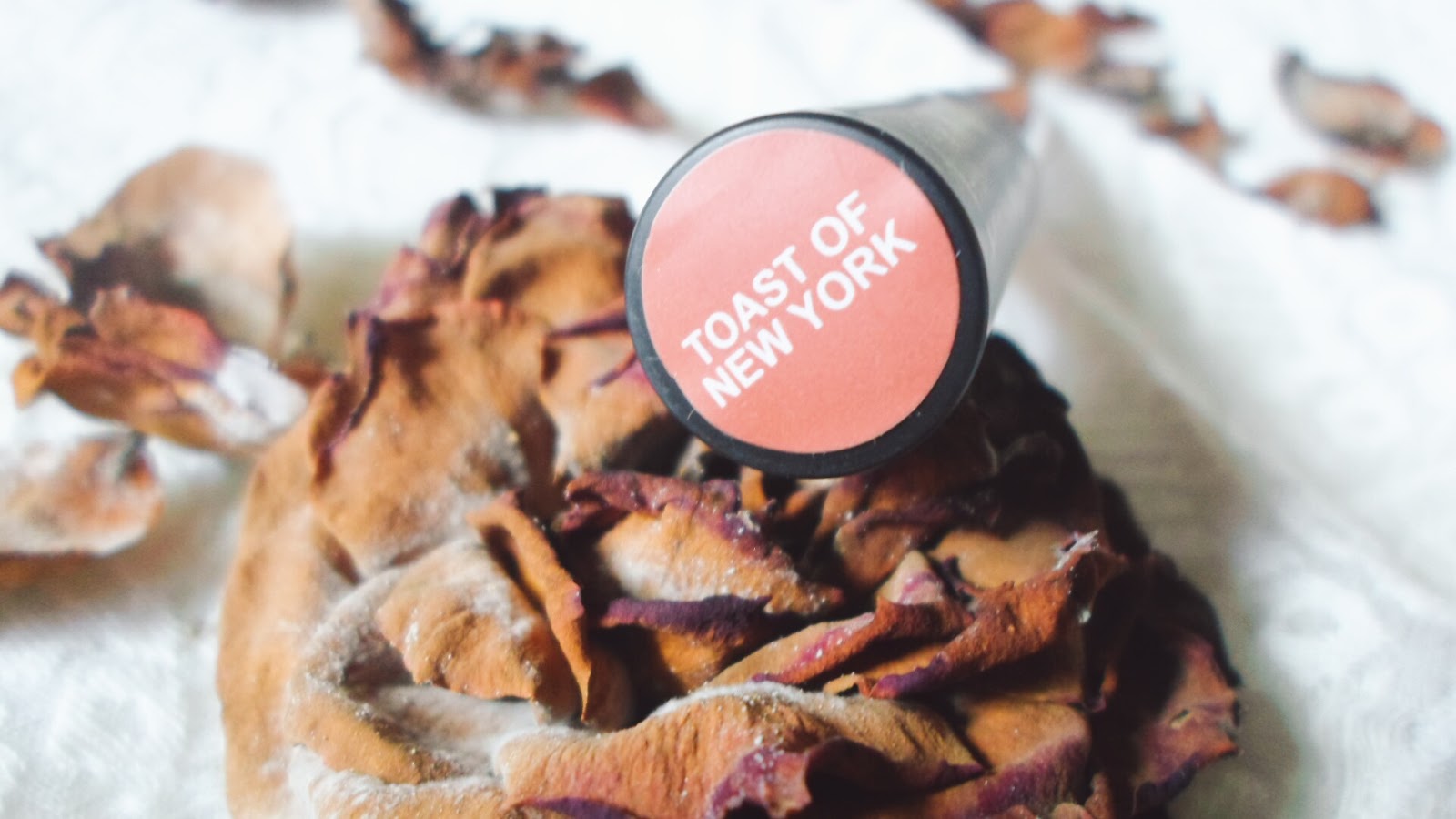 Ever Bilena Matte Liquid Lipstick in Toast of New York (Review ...